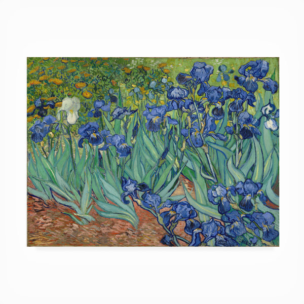 One Allium Way® Agra Irises, 1889 Outdoor Wall Decor & Reviews | Wayfair