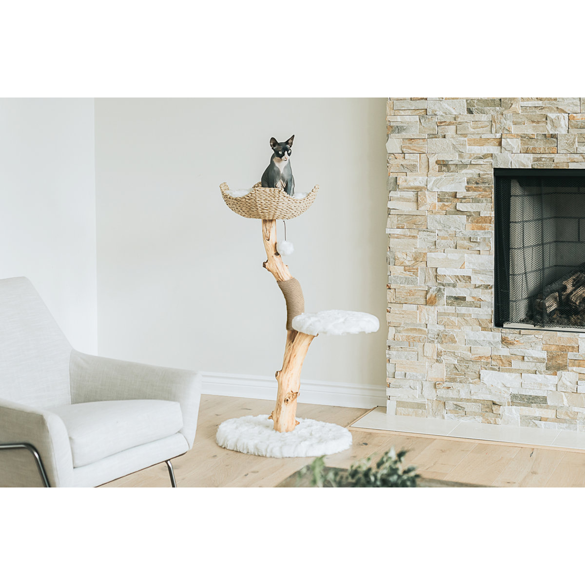 Archie & Oscar™ 43" Lina Cat Tree & Reviews | Wayfair