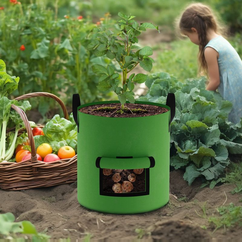 Ebern Designs Yocasta Outdoor Pot Planter & Reviews | Wayfair