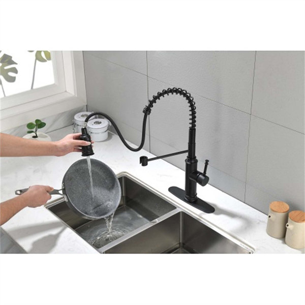 Red Cloud Pull Out Kitchen Faucet - Wayfair Canada