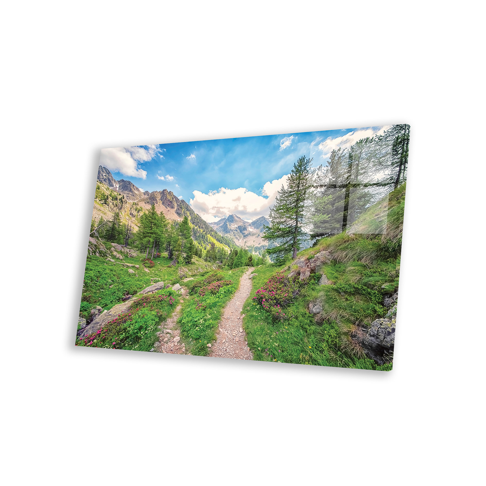 Millwood Pines French Alps Print On Acrylic Glass - Wayfair Canada