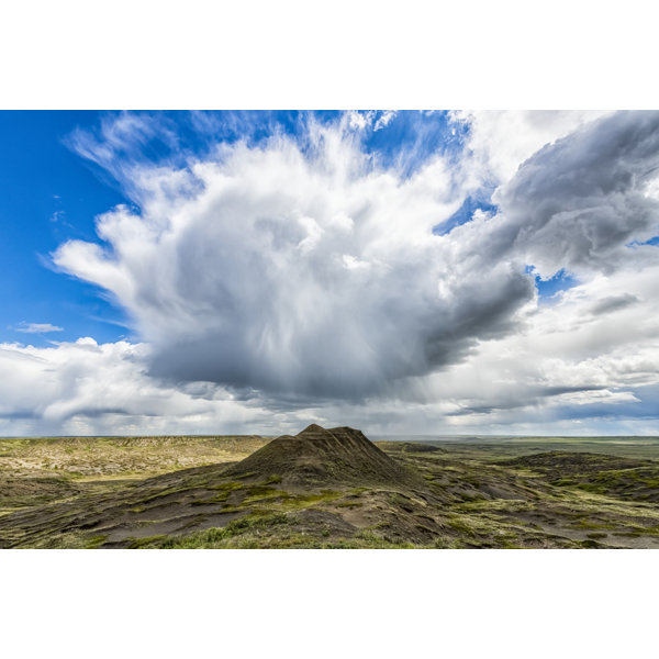 Millwood Pines Vast Landscape Stretching To The Horizon In Grasslands ...