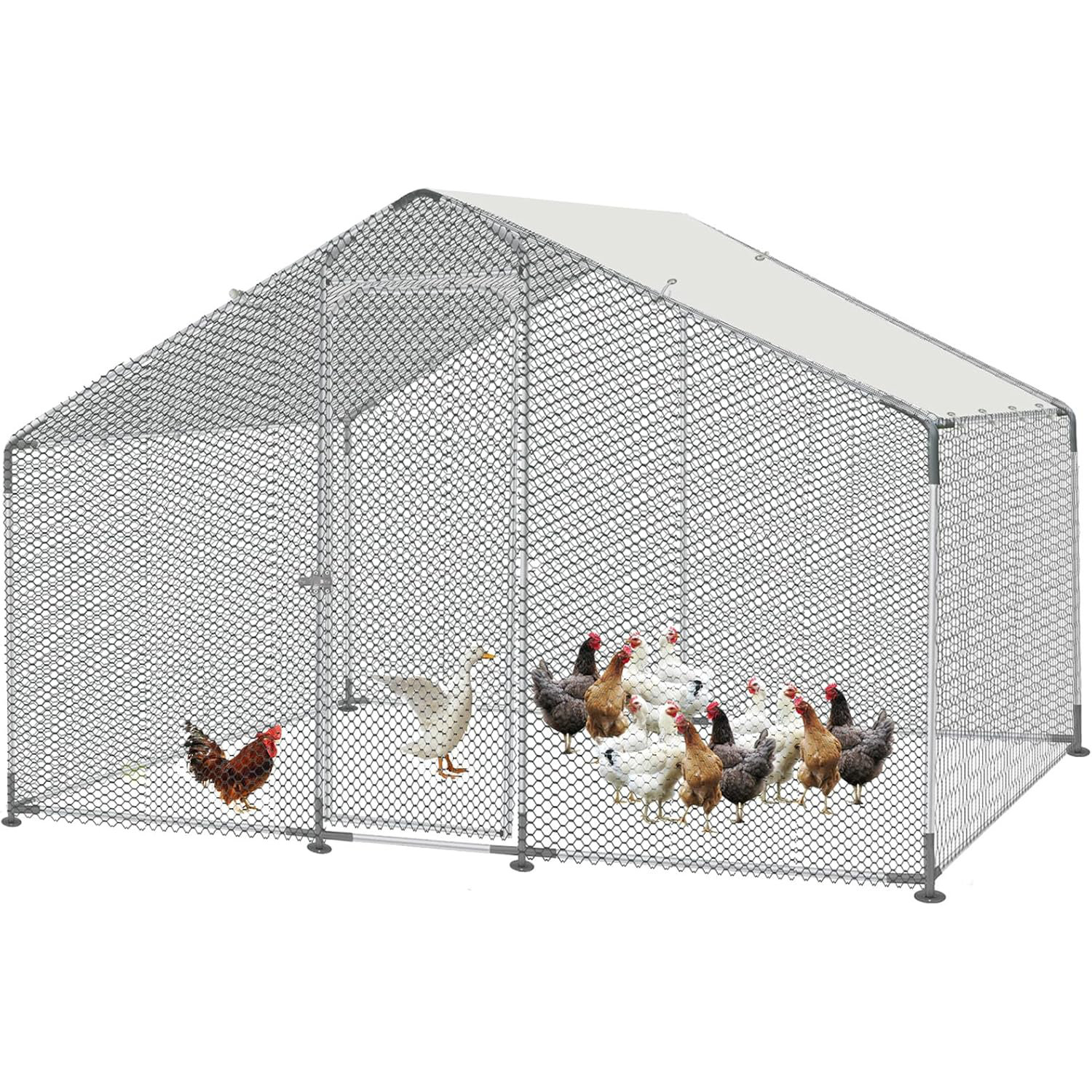 Archie & Oscar™ Chicken Coop Large Metal Run For 10 Chickens Walk In ...