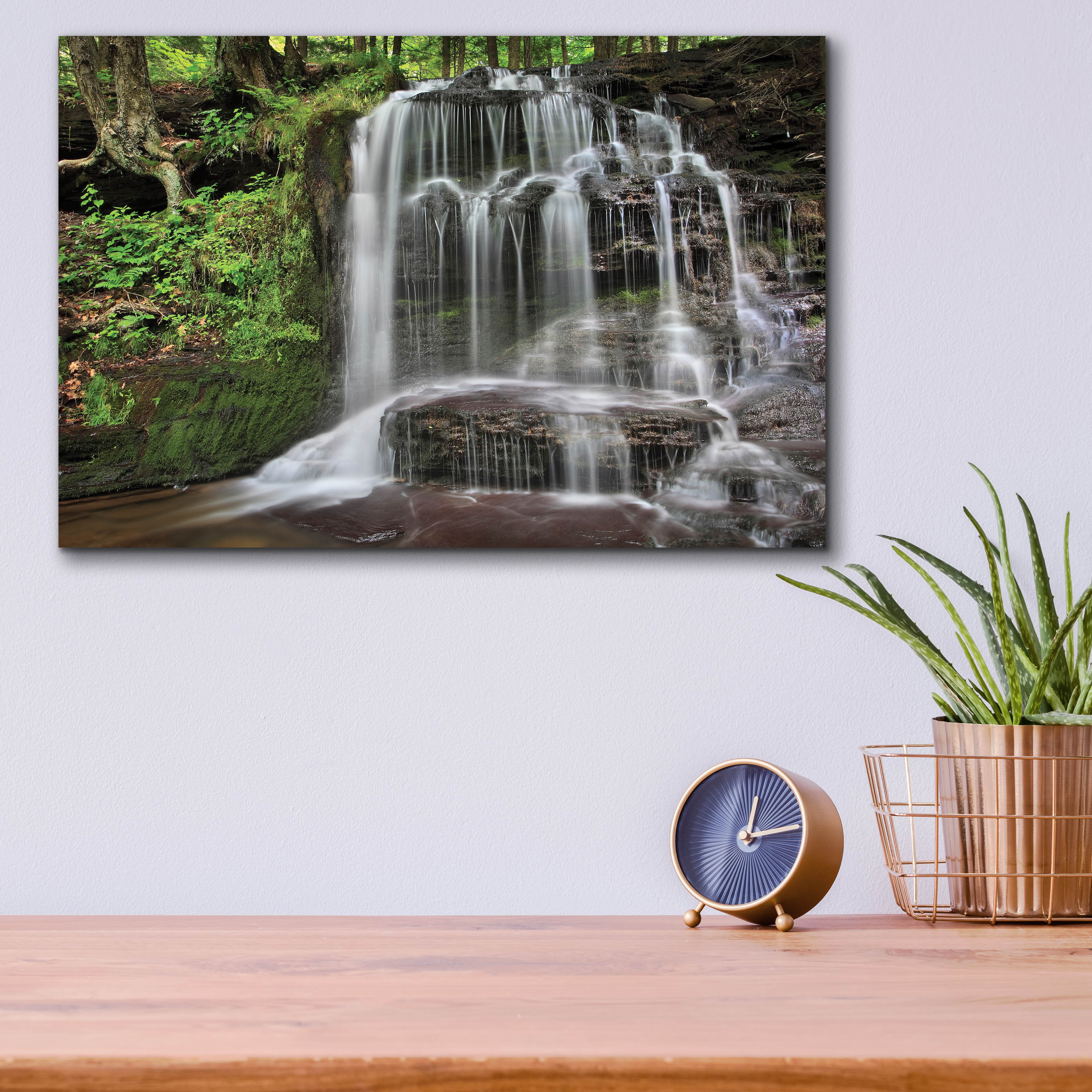 Millwood Pines 'Gunn Brooks Falls' by Patrick Zephyr Acrylic Glass Wall ...