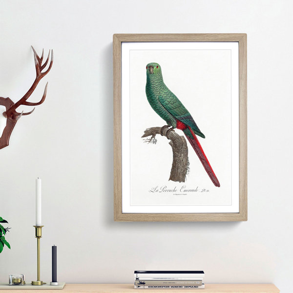East Urban Home Emerald Parakeet by F. Levaillant - Picture Frame ...