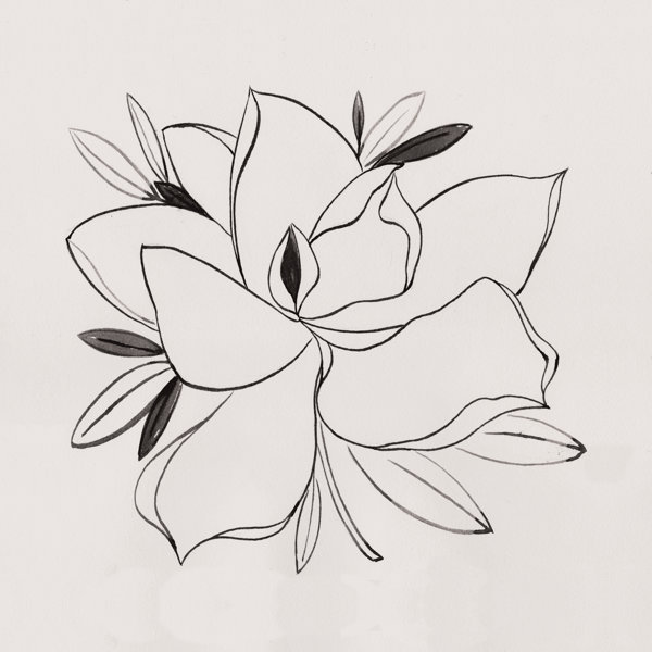 ClassicLiving Magnolia Rendering - Wrapped Canvas Print | Wayfair.co.uk