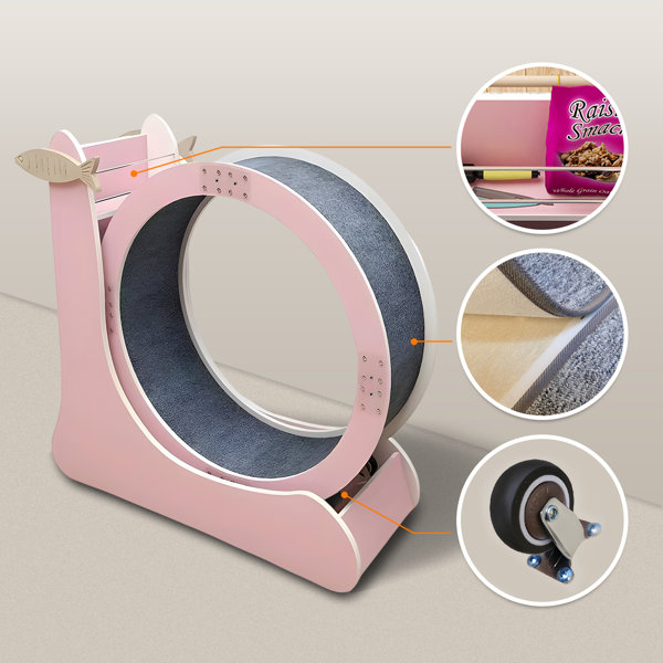 Tucker Murphy Pet™ Dailan Cat Exercise Running Wheel Treadmill with ...