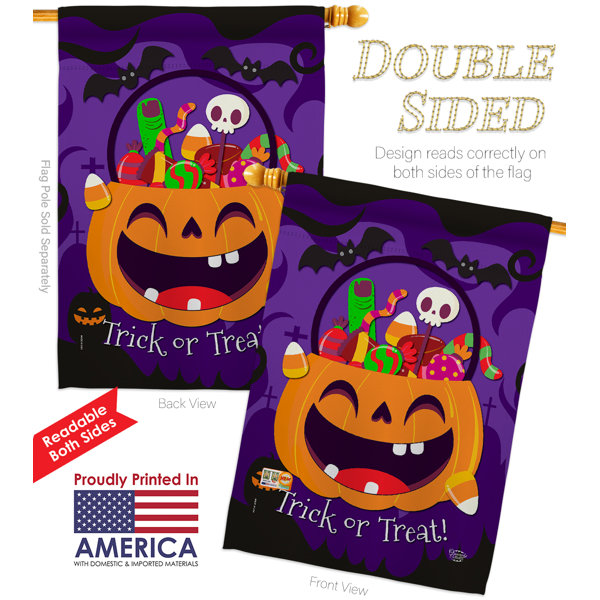 Ornament Collection Double Sided 40'' H x 28'' W Polyester Halloween ...