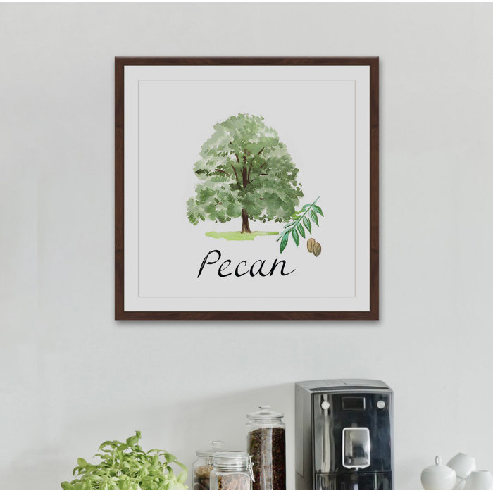 Red Barrel Studio® Pecan Tree Framed On Paper Print | Wayfair