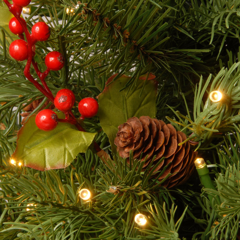 The Holiday Aisle® 2ft. Nordic Spruce Tree with LED Lights & Reviews ...