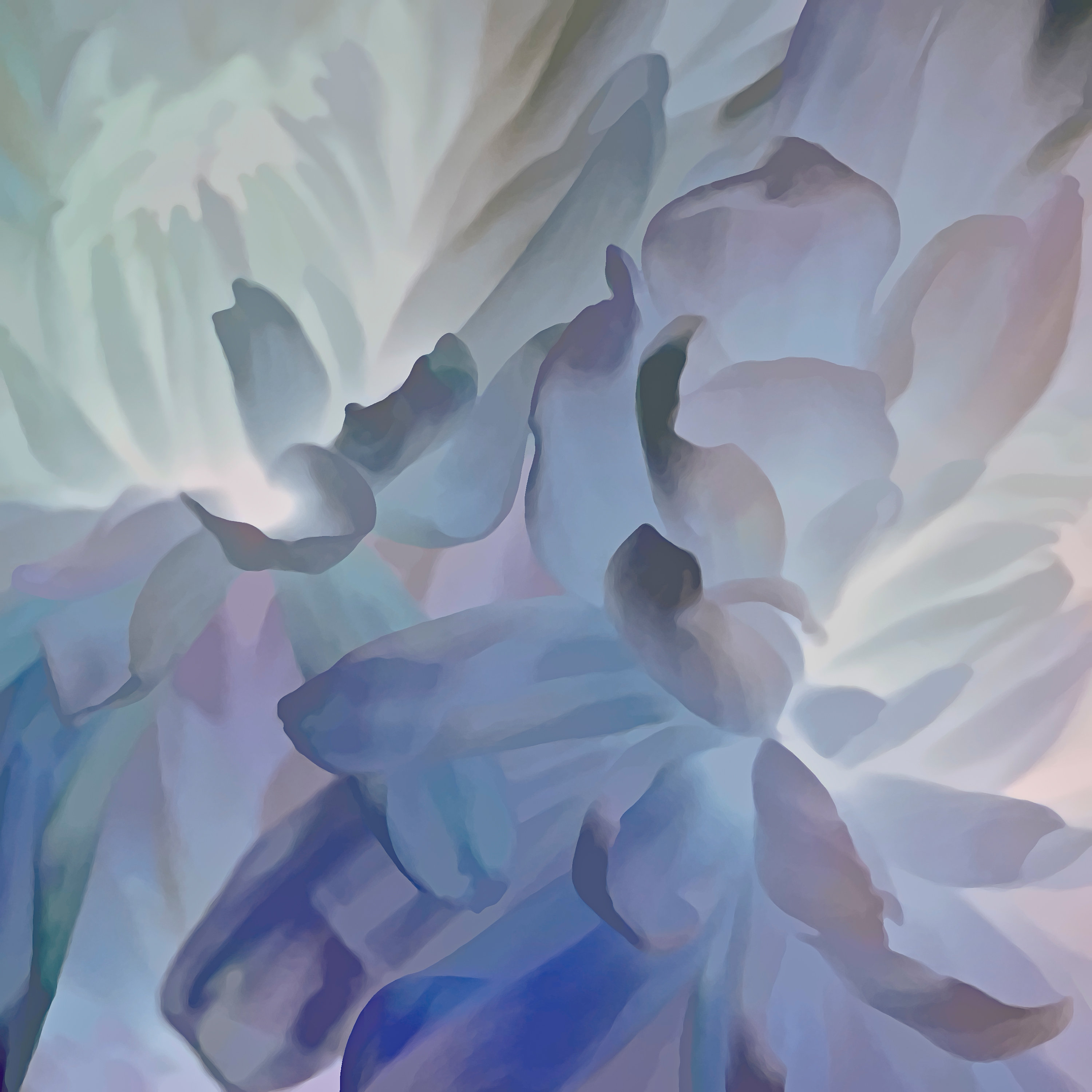 Lark Manor™ Ardra Chrysanthemum V by David Pollard - Wrapped Canvas ...