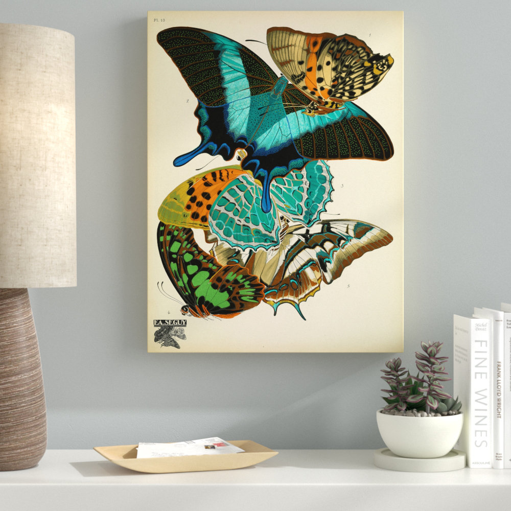 Latitude Run® Papillons 13 by Vintage Apple Collection - Graphic Art ...