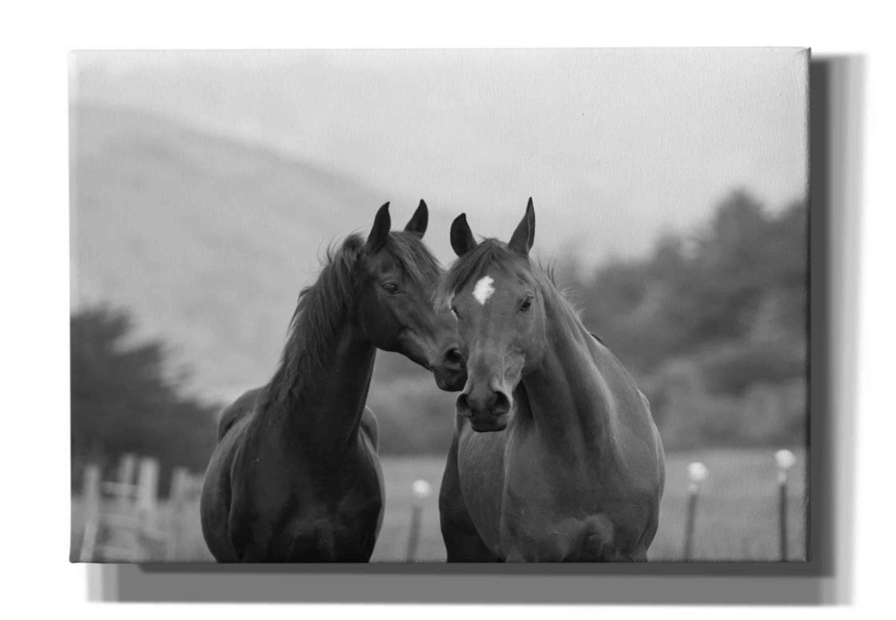 Union Rustic Arabs by Susan Friedman - Wrapped Canvas Print | Wayfair