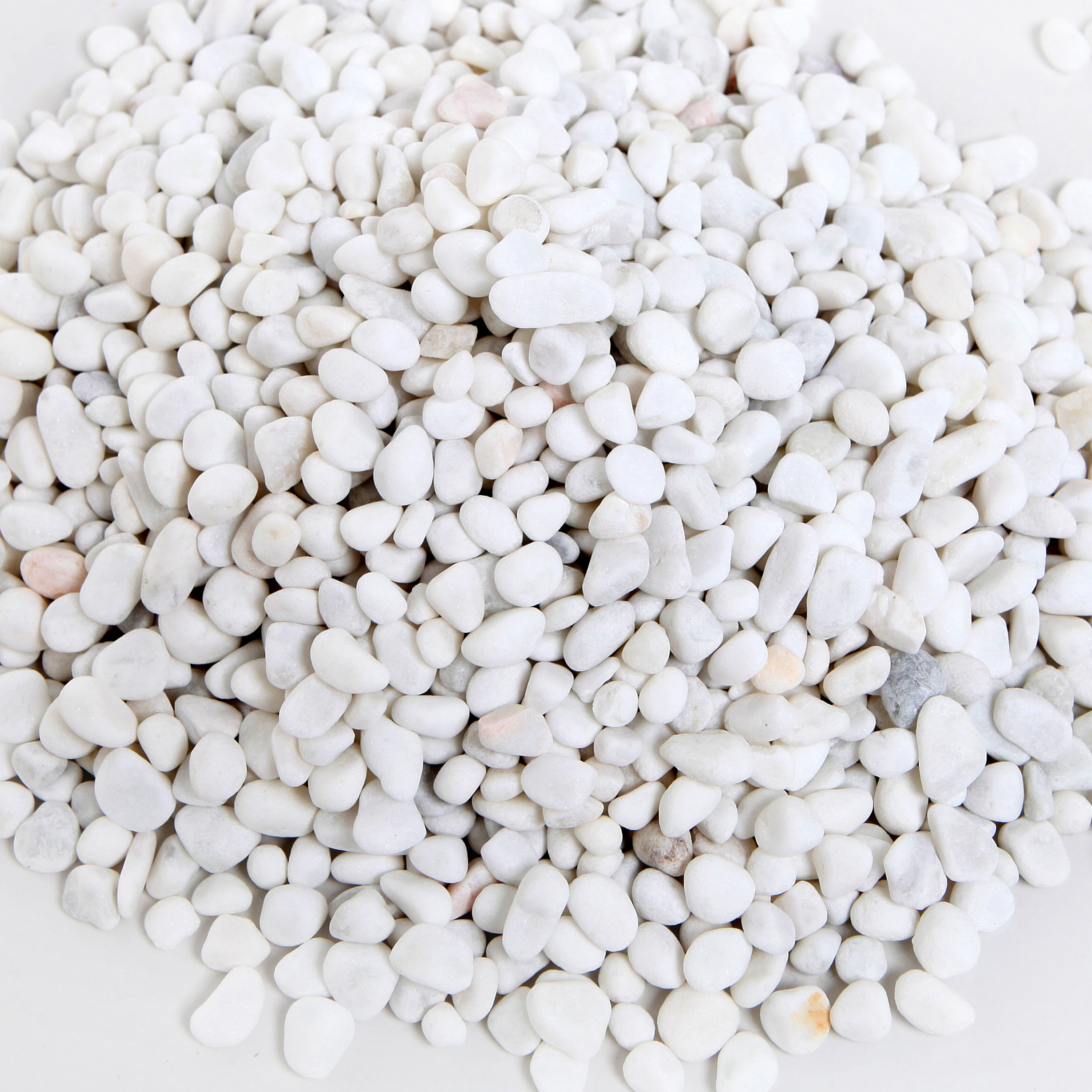 MY GIFT Decorative River Rocks Vase Fillers & Reviews | Wayfair.co.uk