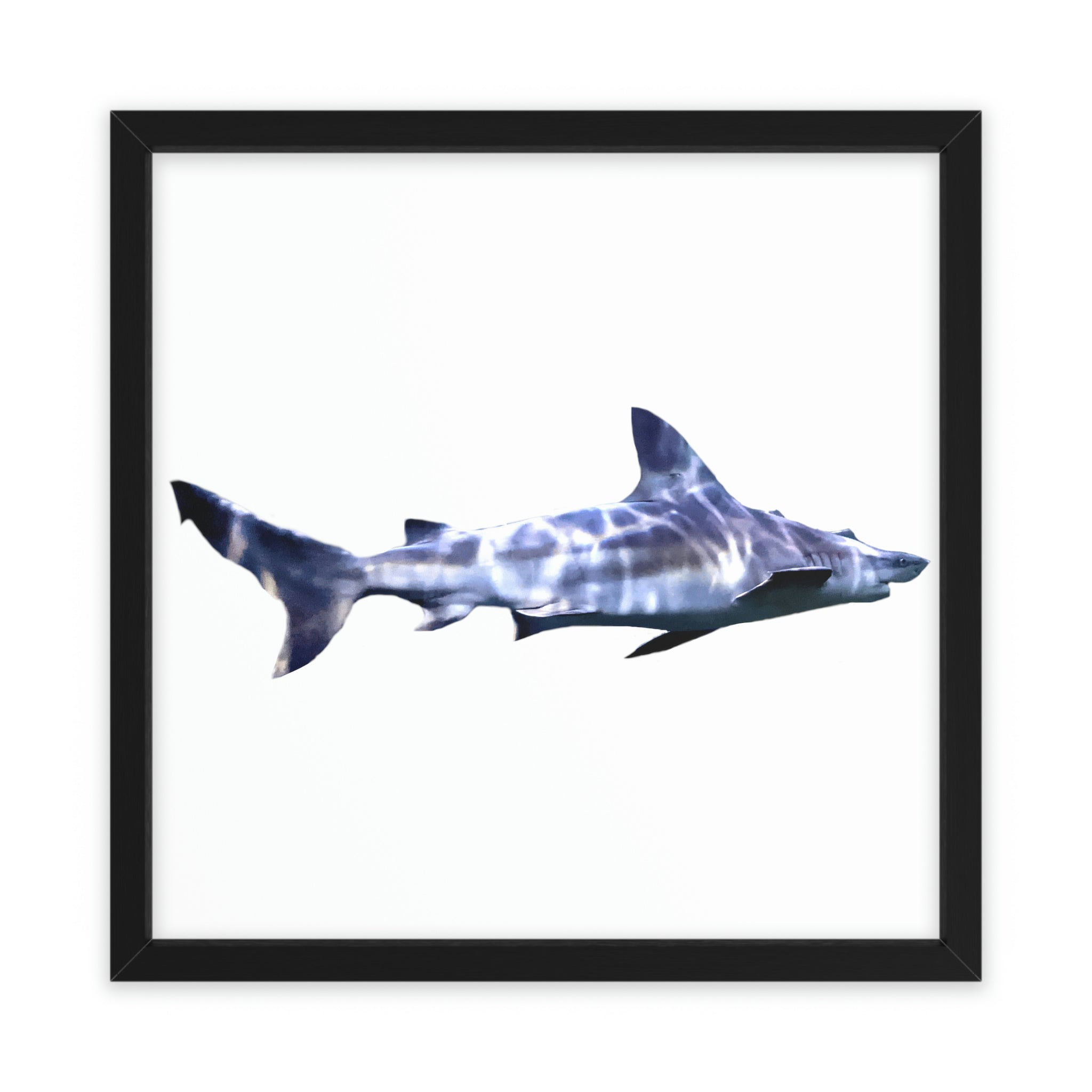 Dovecove Shark - Picture Frame Illustration | Wayfair