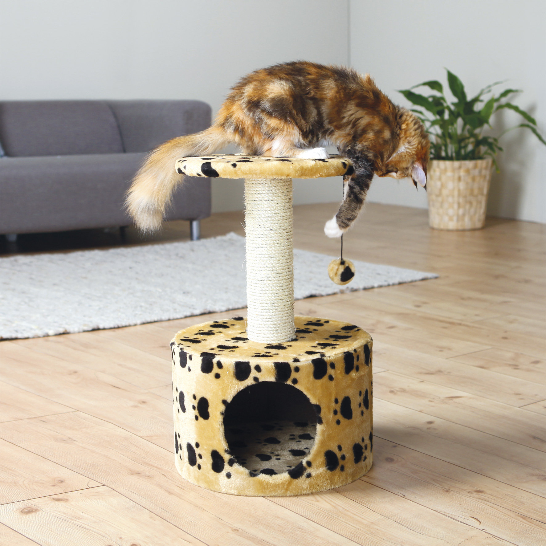 TRIXIE 24" Toledo Paw Print Cat Tree & Reviews | Wayfair