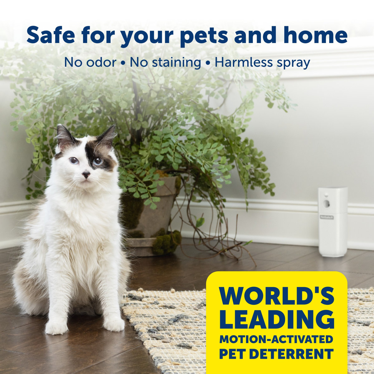 Petsafe® Ssscat® Automatic Spray Pet Deterrent & Reviews | Wayfair