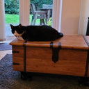 Alpen Home Pippin Solid Wood Coffee Table with Storage & Reviews ...