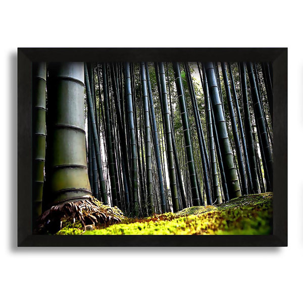 Bay Isle Home Huge Bamboo Forest - Art Prints on Canvas | Wayfair.co.uk