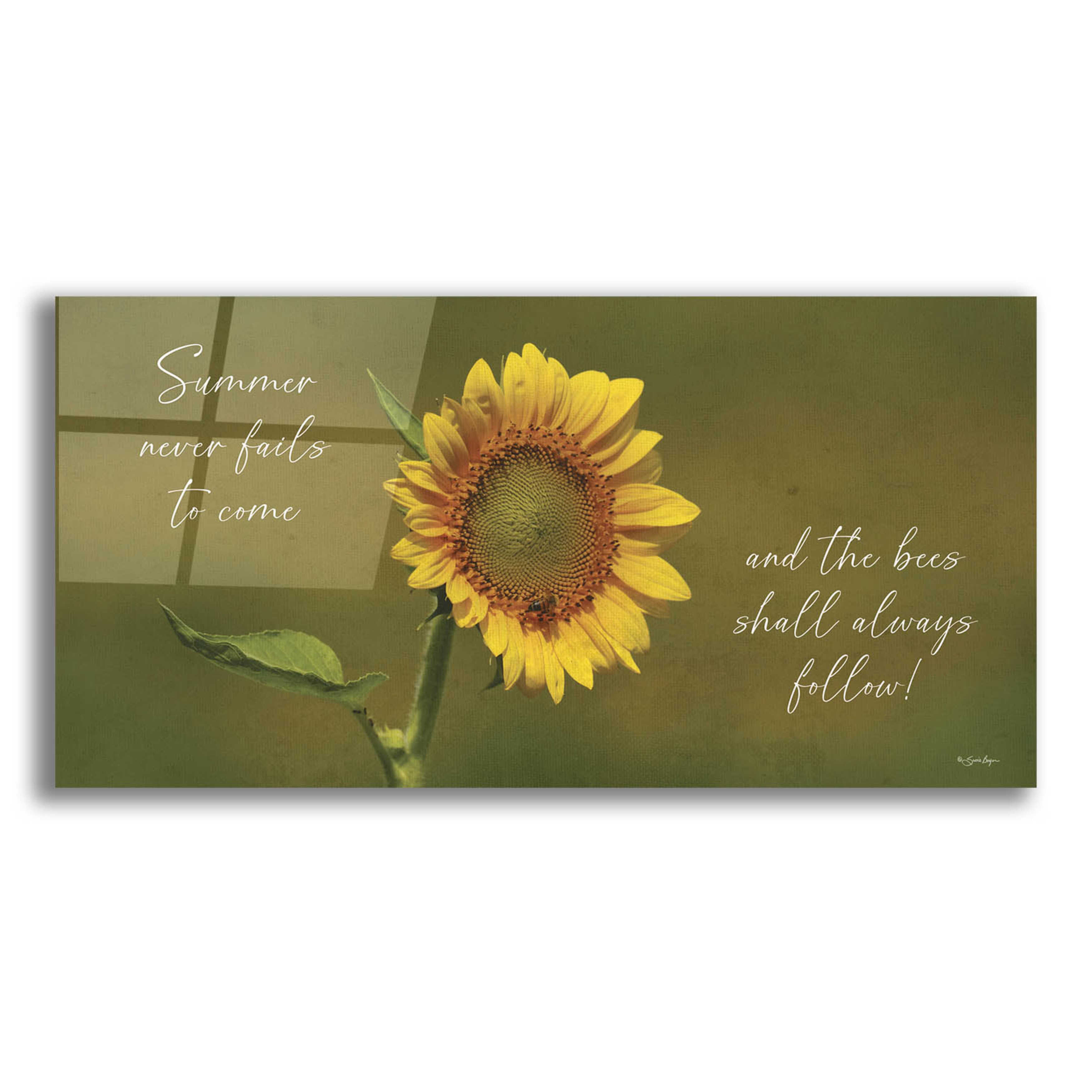 Gracie Oaks Epic Art 'Summer Never Fails To Come' By Susie Boy Summer ...