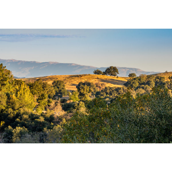 Alpen Home Dannie Morning Landscape In Countryside by Mary Prentice ...