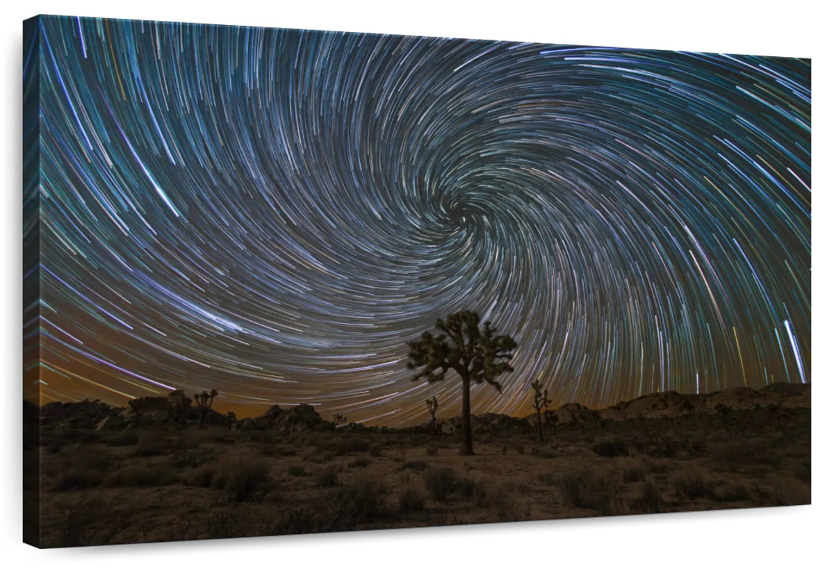 Ebern Designs Oberle Joshua Tree Star Trail - Wayfair Canada