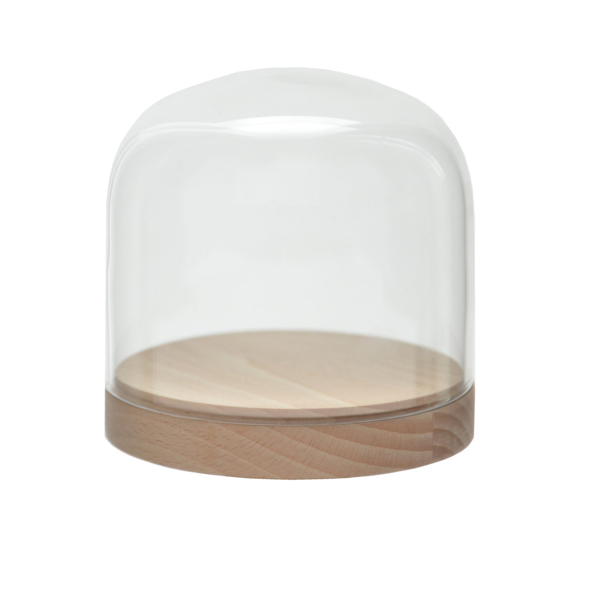 Breakwater Bay Maryellen Dome Cloche & Reviews | Wayfair.co.uk