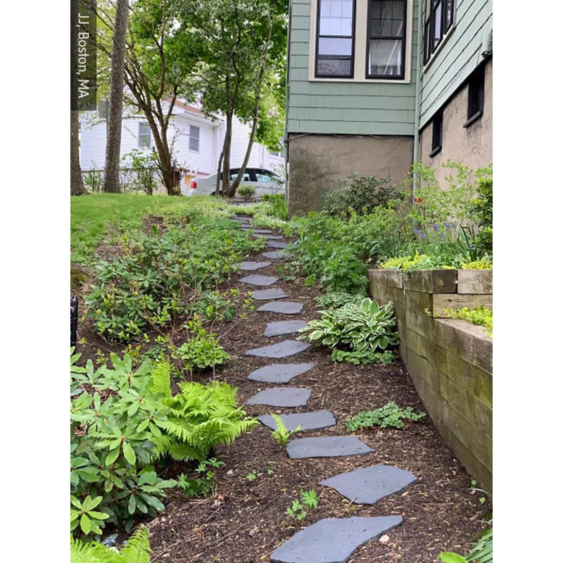 Ophelia & Co. Recycled Rubber Flagstone Stepping Stone | Wayfair