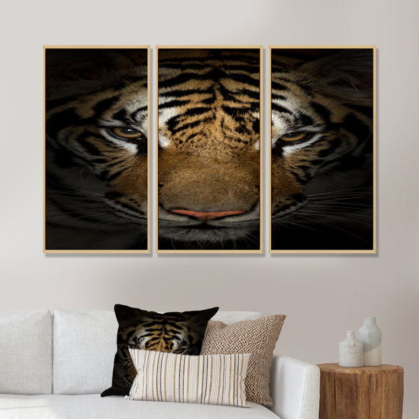 Ebern Designs Tiger Face Tiger In The Dark Framed On Canvas 3 Pieces ...