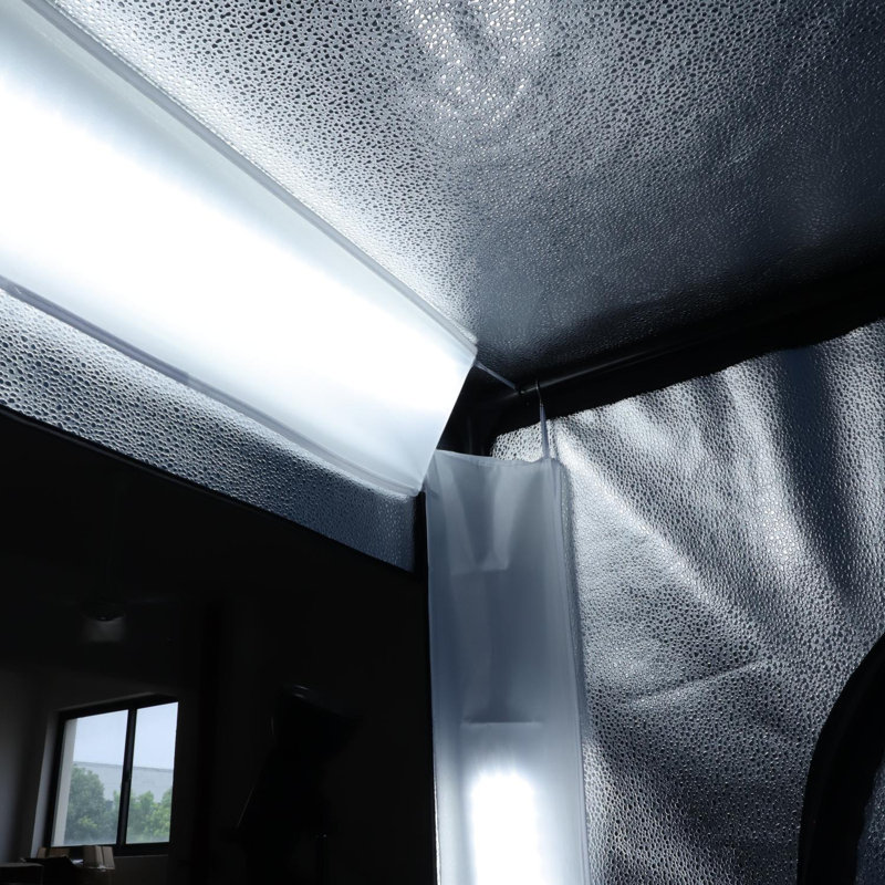 DALELEE Professional Photography LED Studio Large Lightbox Dimmable ...