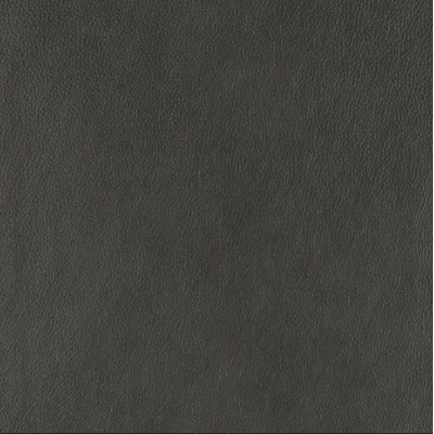 La-Z-Boy Elite Charcoal Sample | Perigold