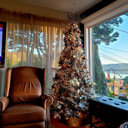 The Holiday Aisle® Frosted Sable 4' Lighted Pine Christmas Tree ...