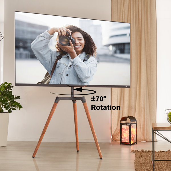 ProMounts Premium Easel TV Floor Stand, Universal TV Mount with 140 ...