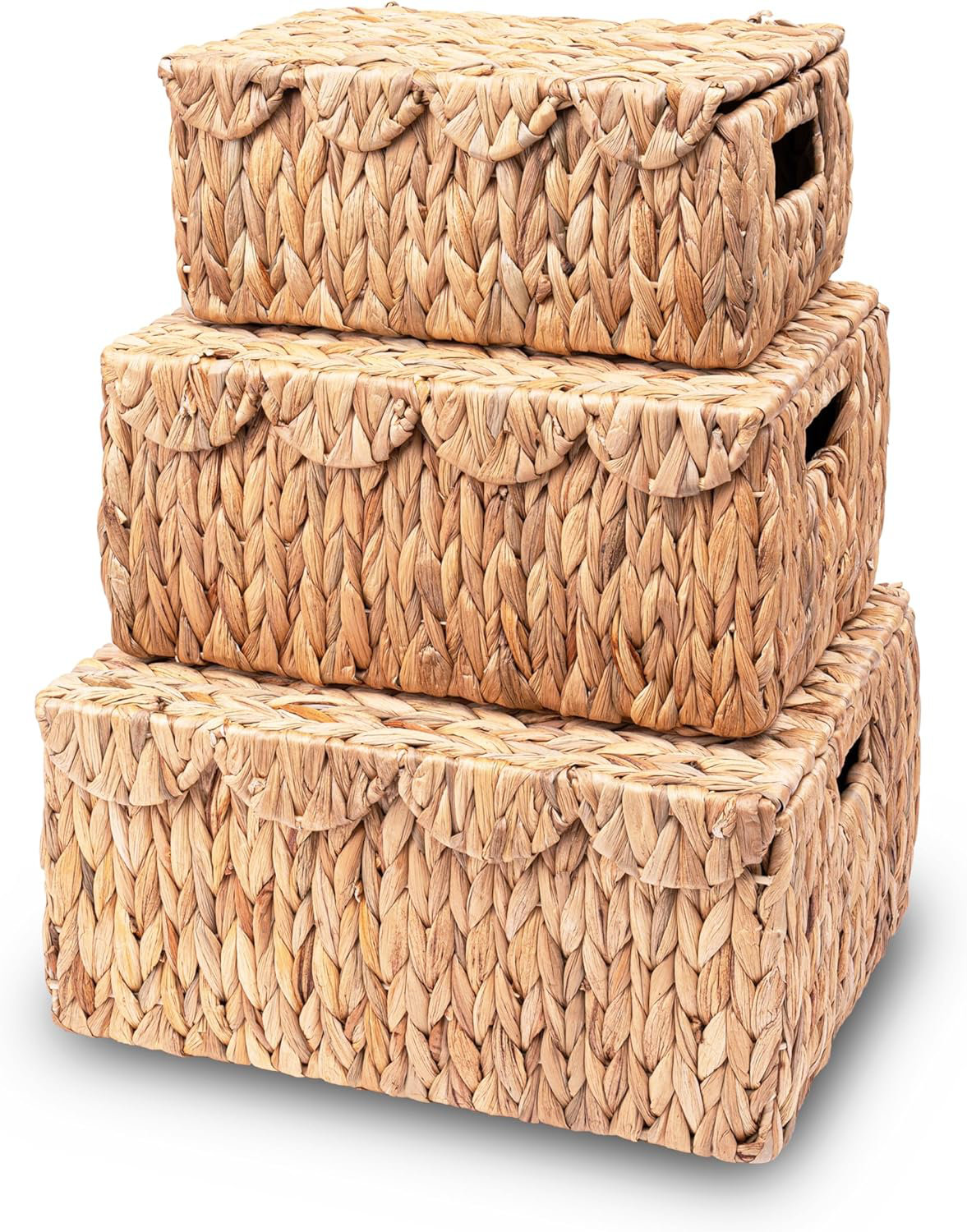 Rosecliff Heights Scalloped Edge Wicker Basket With Lid, Rectangle ...