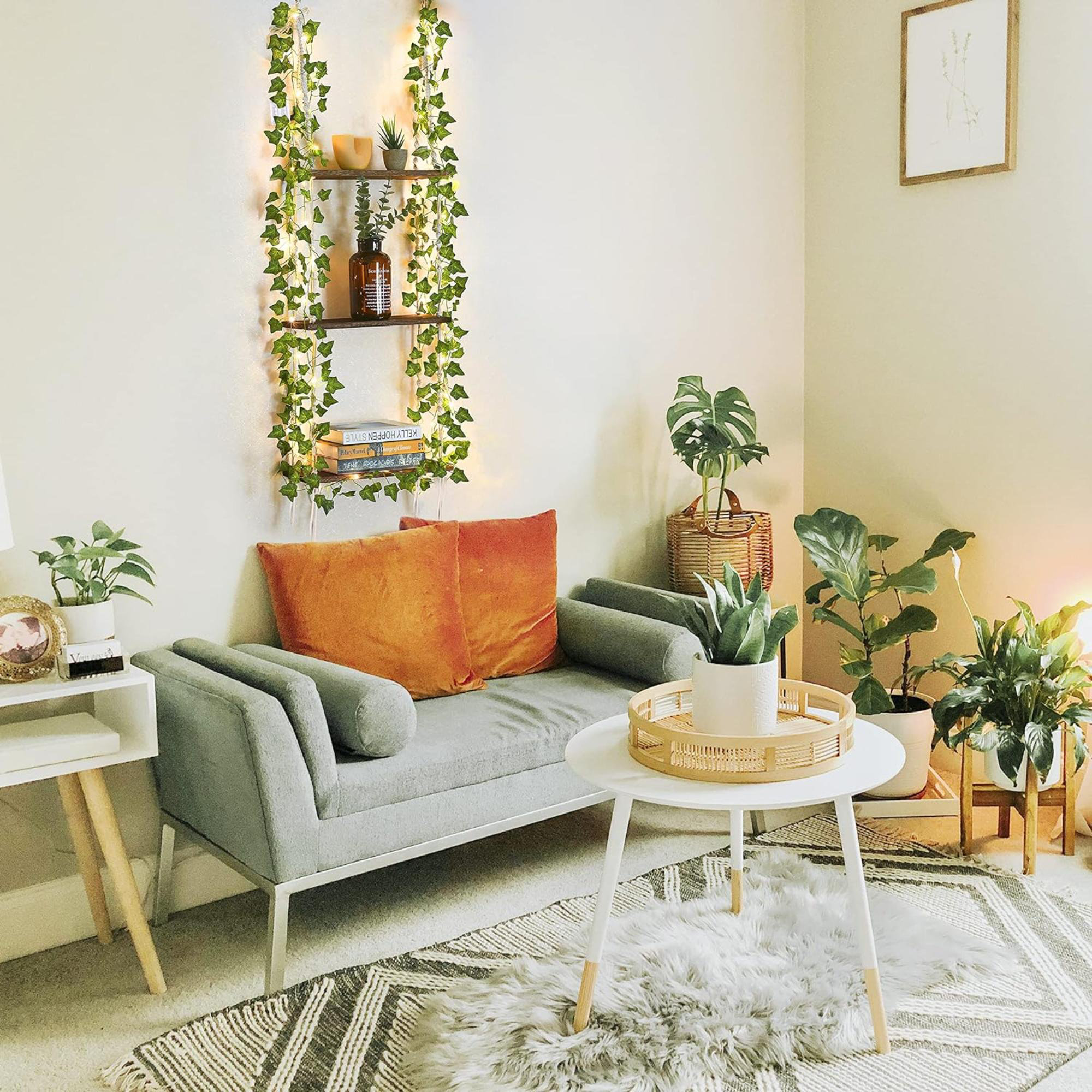 Breakwater Bay Hanging Shelf With Vine Lights, Macrame Plant Wall Shelf ...