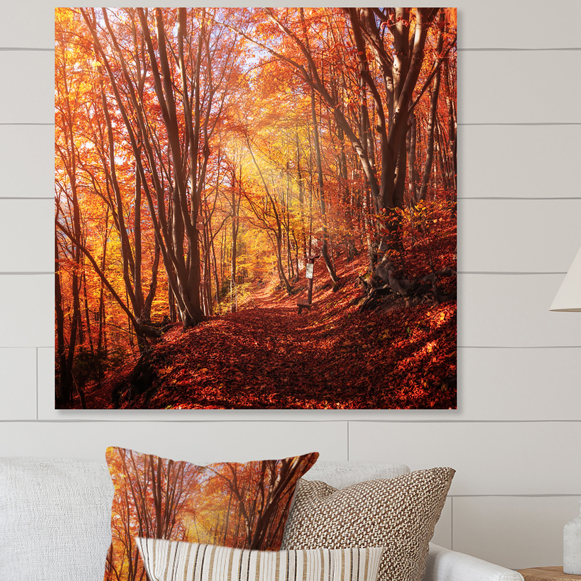 Millwood Pines Colorful Trees in Autumn Forest - Painting | Wayfair
