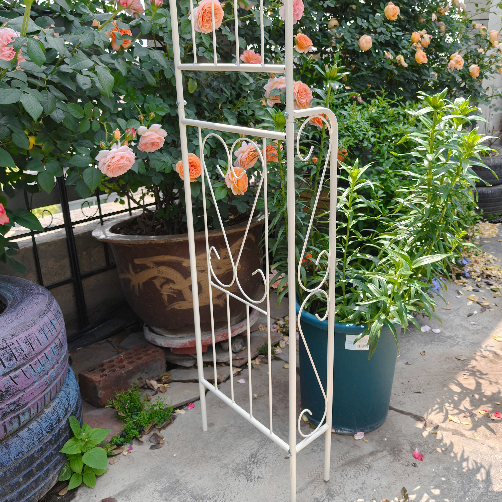 DAPPER DOODLES INC Metal Garden Arch W55'' X H94.5'' Garden Arbour Trellis Climbing Plants ...