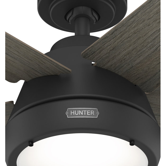 Hunter Fan Burroughs 52'' Ceiling Fan with Light Kit & Reviews | Wayfair