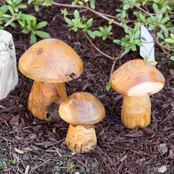 August Grove® Chu Teak Root Mushroom Set Of 3 & Reviews | Wayfair