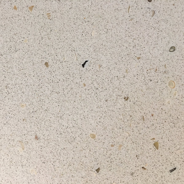 Matrix-Z SeaTile 24" x 24" Seashell Wall & Floor Tile | Perigold