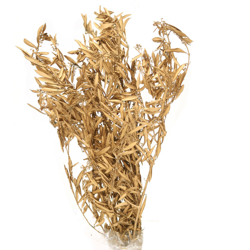 Primrue Preserved Gold Branches in Bundle. | Wayfair