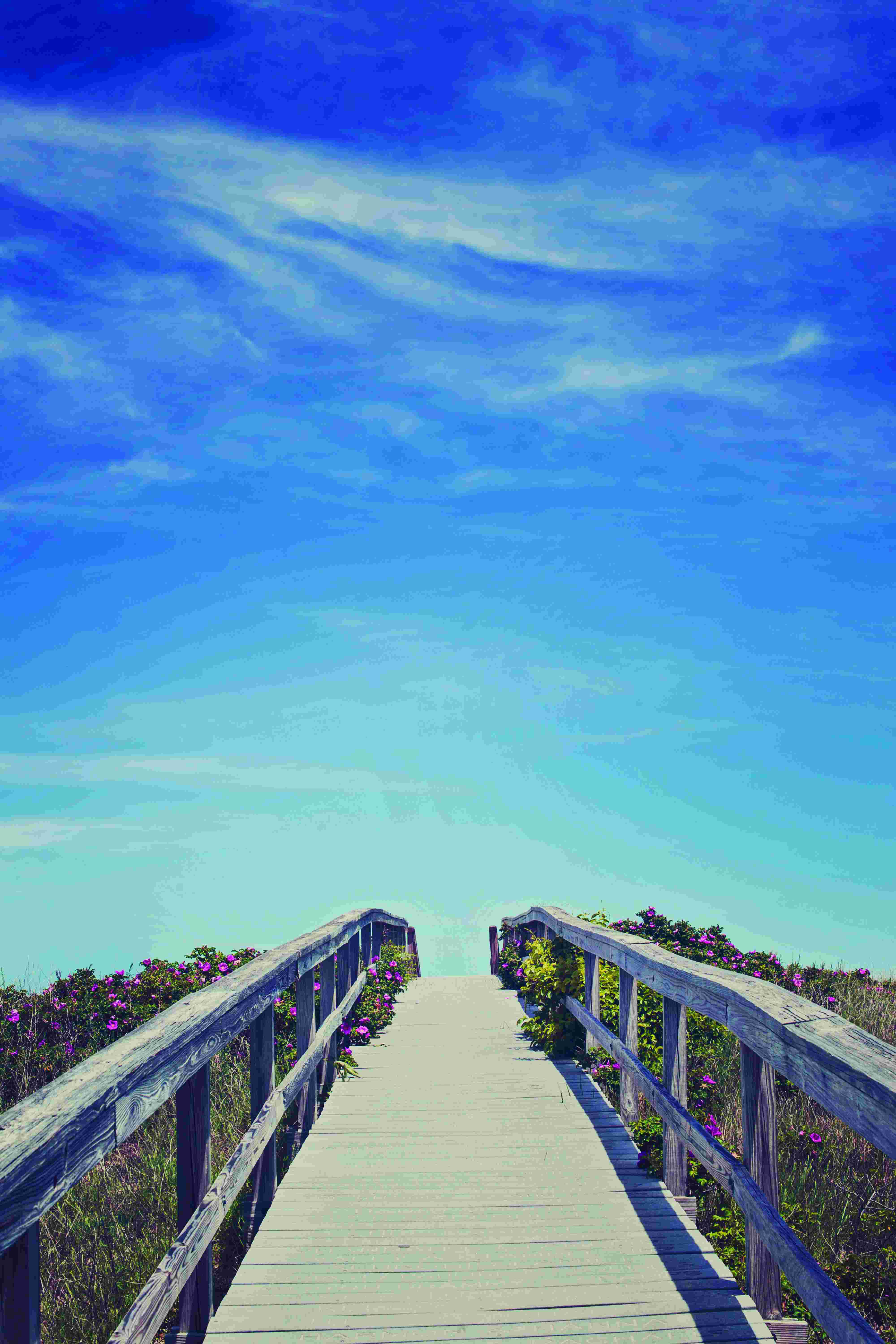 Winston Porter Blue Skies And Pier - Wayfair Canada