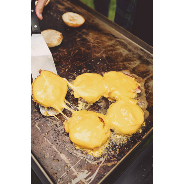 Razor Grill and Griddle Prep Cart & Reviews | Wayfair