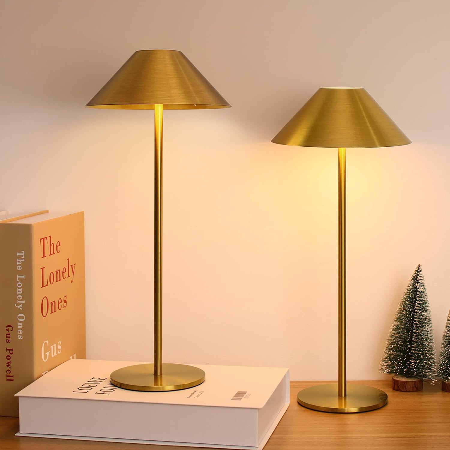 Mercer41 Rechargeable LED Desk Lamp With 5000Mah Battery, Cordless ...