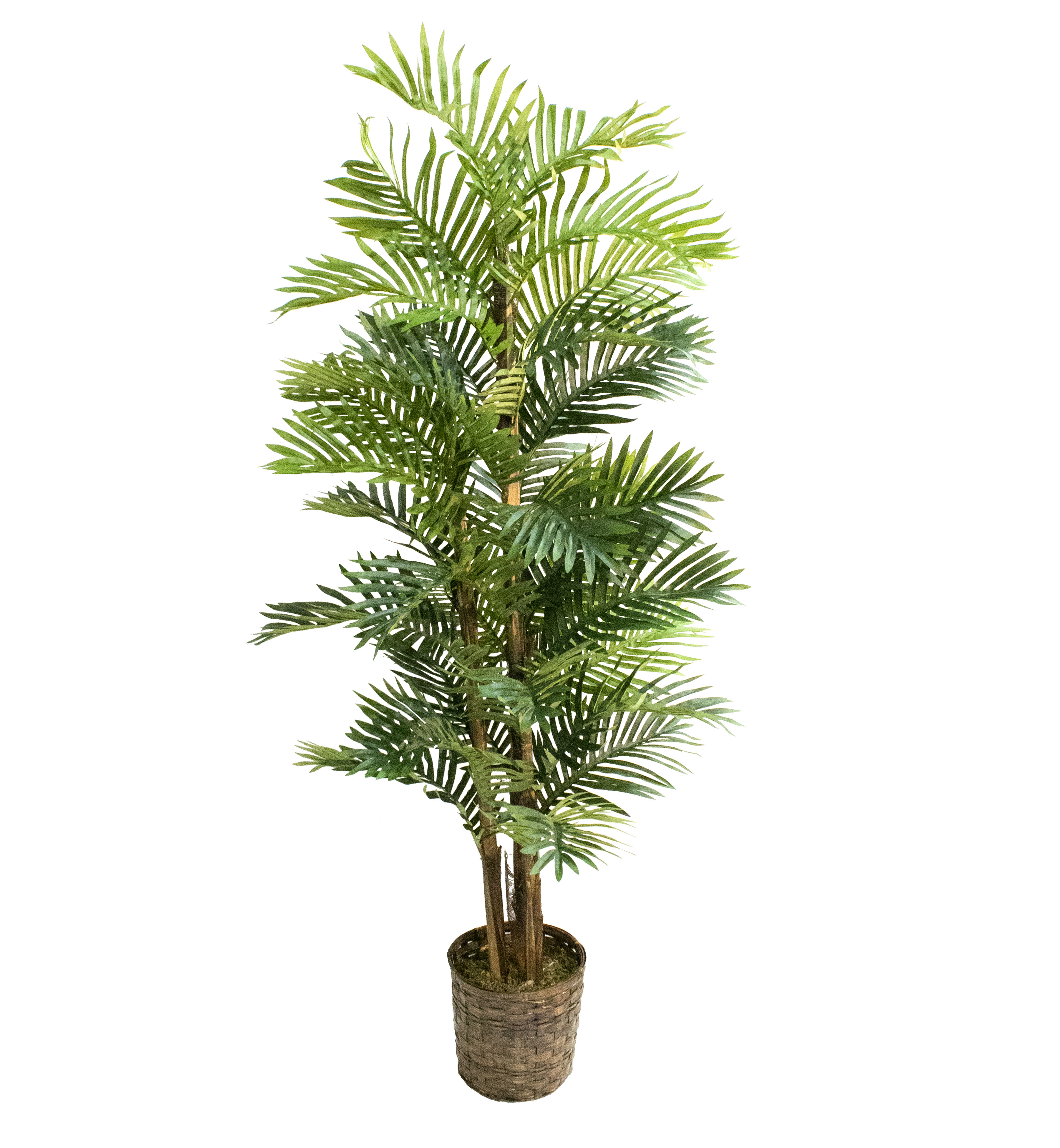 Freeport Park® 52'' Artificial Palm Tree in Planter Set & Reviews | Wayfair