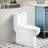 TUOXIN Floor Mounted Elongated Toilet, 1.1/1.6 , Comfort Height ...