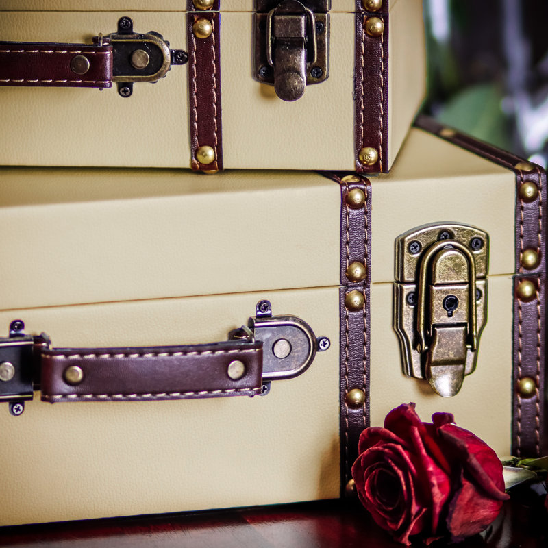 17 Stories Noorhan 2 Piece Decorative Trunk Set | Wayfair