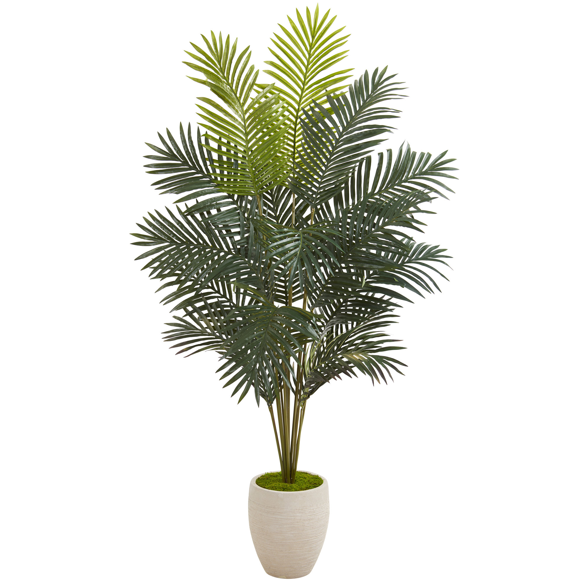 Bay Isle Home™ 50.5" Artificial Palm Plant in Planter | Wayfair
