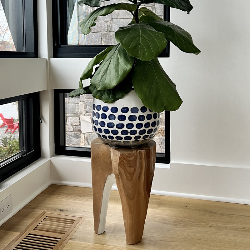 Millwood Pines Adrik Solid Wood Accent Stool & Reviews | Wayfair