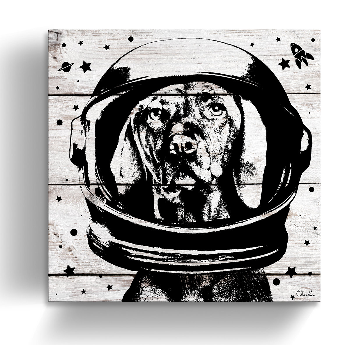 Trinx 'Animal 'Space Dog'' Graphic Art on Wrapped Canvas | Wayfair